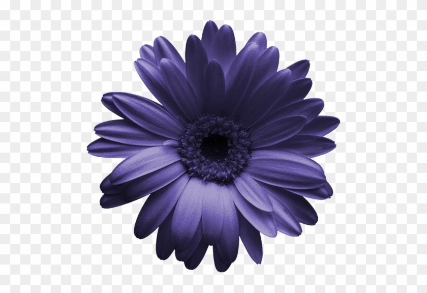 [ Img] - Good Morning Happy Friday Gif - Free Transparent PNG Clipart ...